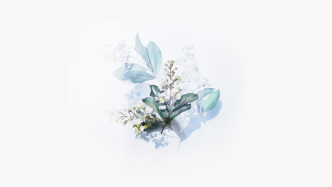 16x9-image_1080px_flowers_center1 - RIVERBIRCH PSYCHOTHERAPY